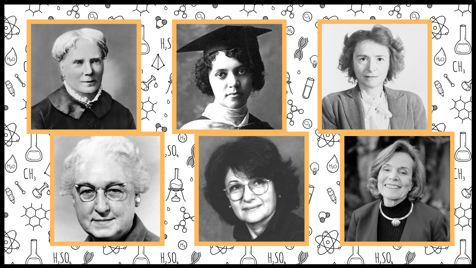 Women in Math: Pioneers in Biology and Medicine | ORIGO Education
