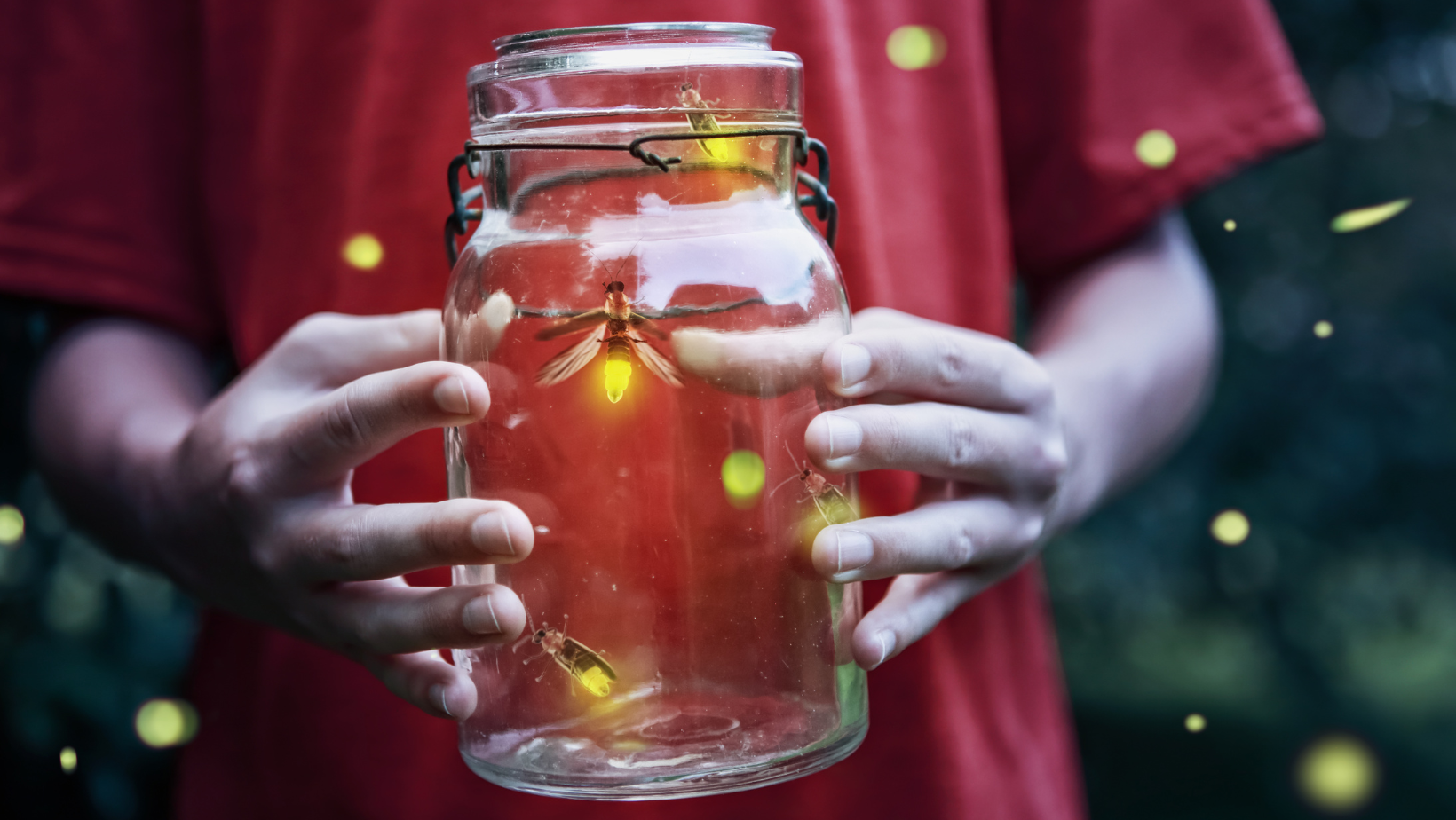 Fireflies: A Real World Math Challenge | ORIGO Education